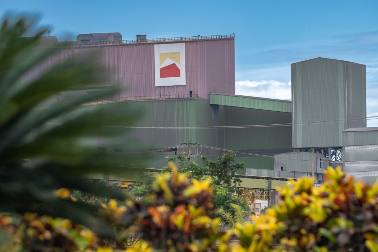 Ternium conclui plantio de 7 mil árvores no centro industrial de Santa Cruz